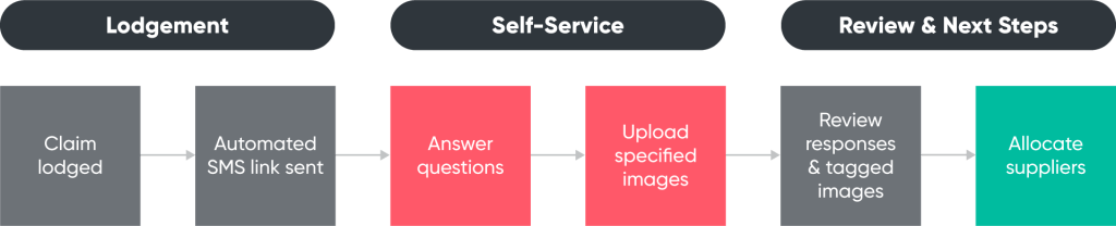 Triage_Workflow | Livegenic